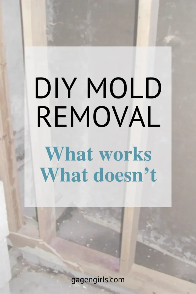 DIY Mold Removal: What Works and What Doesn’t